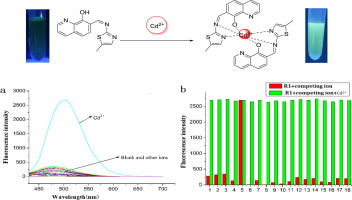 Quinoline-based highly selective and sensitive fluorescent probe specific for Cd2+ detection in ...