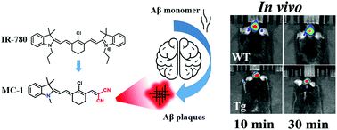 Neutral merocyanine dyes: for in vivo NIR fluorescence imaging of ...
