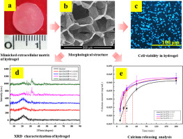 Mimicked extracellular matrix of calcified soft tissue based on ...