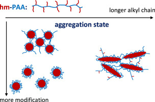 Hydrophobically modified polyacrylates (hmPAAs) with long alkyl chains ...
