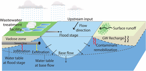 Effects of an Extreme Flood on Trace Elements in River Water—From Urban ...