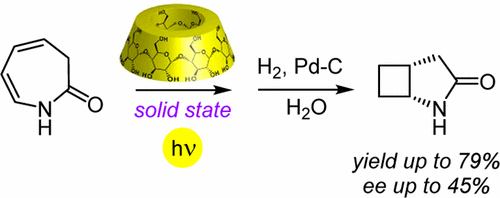 β-Cyclodextrin-Mediated Enantioselective Photochemical ...