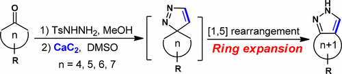 One-Pot Synthesis of Spirocyclic or Fused Pyrazoles from Cyclic Ketones ...
