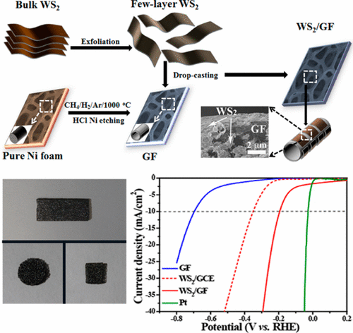 Few-Layered Trigonal WS2 Nanosheet-Coated Graphite Foam as an Efficient ...
