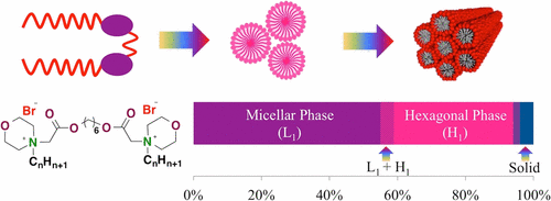 Physicochemical Evaluation of Micellar Solution and Lyotropic Phases ...