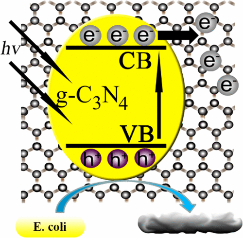 Antibacterial Activity of Graphene Oxide/g-C3N4 Composite through ...