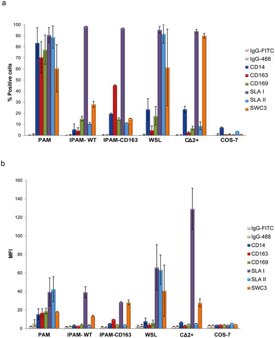 建立的猪细胞系对非洲猪瘟病毒感染和病毒生产的表型和易感性。,Scientific Reports - X-MOL