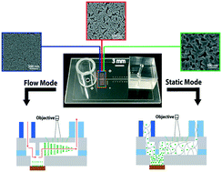 Configurable microfluidic platform for investigating therapeutic ...