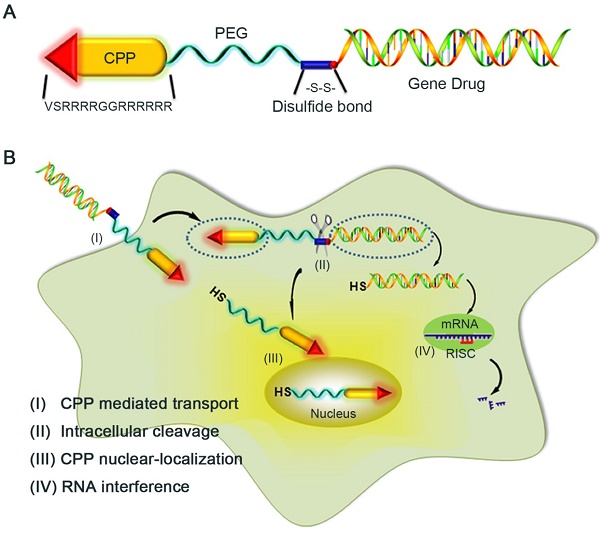 PSMA-Targeted Theranostic Nanocarrier for Prostate Cancer,Theranostics - X-MOL