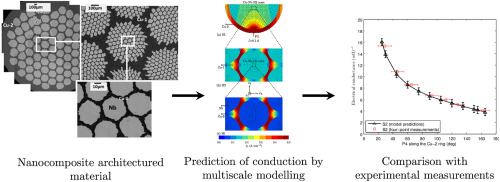 Multiscale modeling of the anisotropic electrical conductivity of architectured and ...