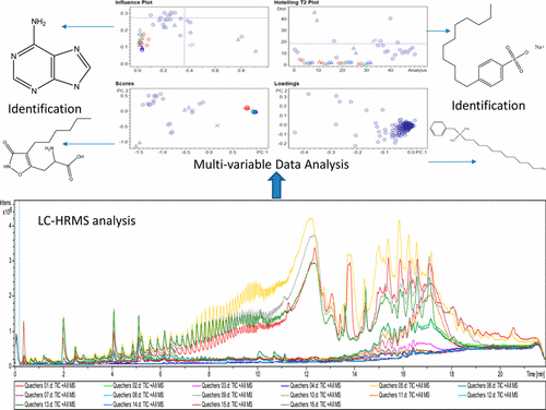 High-Resolution Mass Spectrometry as a Tool To Evaluate the Sample ...