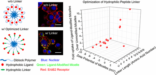 The Weak Link: Optimization of the Ligand–Nanoparticle Interface To ...