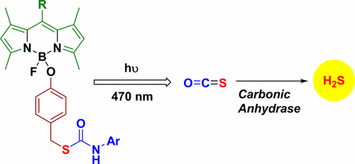 Visible-Light-Triggered Uncaging of Carbonyl Sulfide for Hydrogen ...