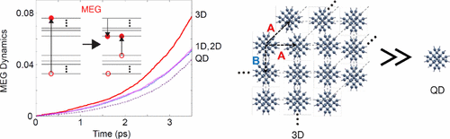 Control of Multiple Exciton Generation and Electron–Phonon Coupling by Interior Nanospace in ...