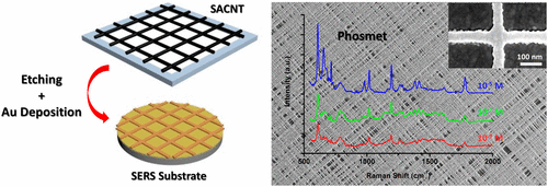 Highly Sensitive, Uniform, and Reproducible Surface-Enhanced Raman ...