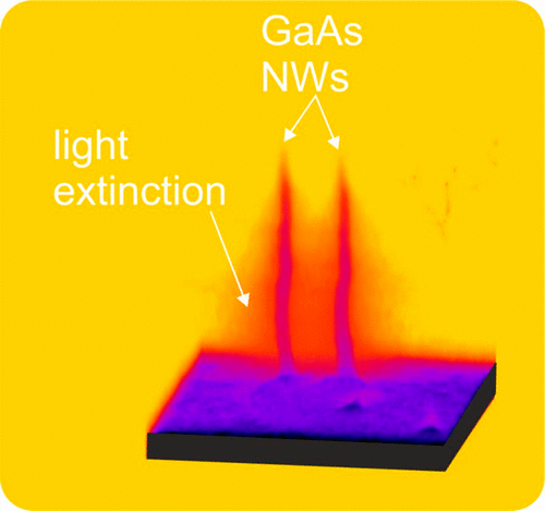 Visual Understanding of Light Absorption and Waveguiding in Standing ...