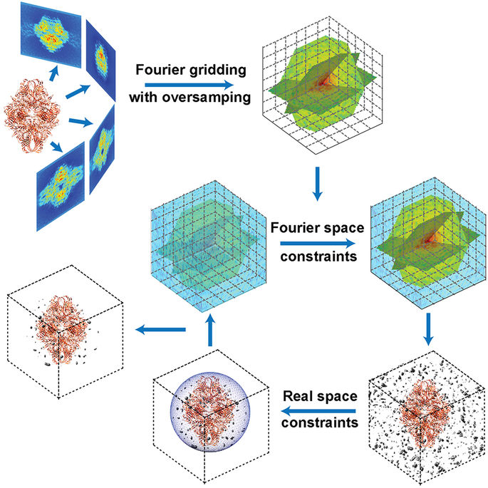 GENFIRE: A generalized Fourier iterative reconstruction algorithm for high-resolution 3D imaging ...