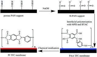 Polyimide thin film composite (TFC) membranes via interfacial ...