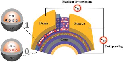 High Performance Flexible Nonvolatile Memory Based on Vertical Organic ...