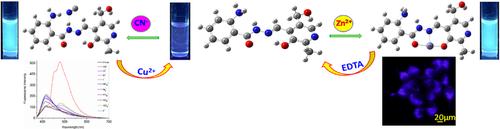Vitamin B6 Cofactor Derivative: A Dual Fluorescent Turn‐On Sensor to ...