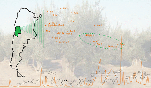Phenolic Compounds Profiling of Virgin Olive Oils from Different ...