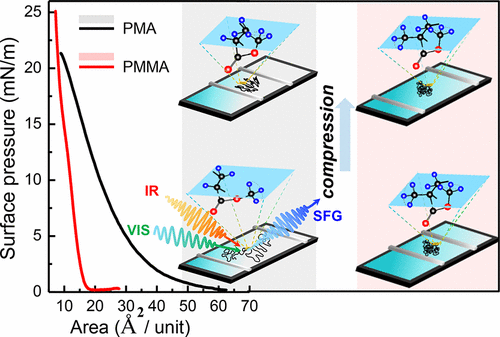 Impact of the α-Methyl Group (α-CH3) on the Aggregation States and ...