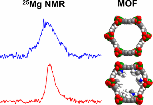 Uncovering the Local Magnesium Environment in the Metal–Organic ...