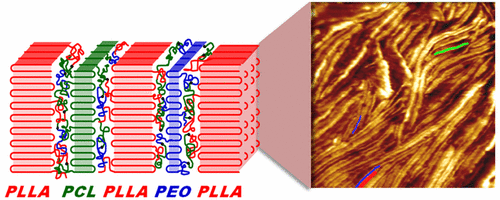 Trilayered Morphology of an ABC Triple Crystalline Triblock Terpolymer ...