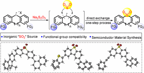 Construction of Functionalized Annulated Sulfone via SO2/I Exchange of ...