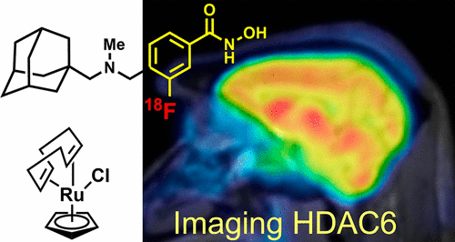 HDAC6 Brain Mapping with [18F]Bavarostat Enabled by a Ru-Mediated Deoxyfluorination.,ACS Central ...