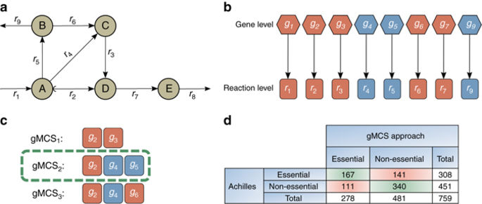 An in-silico approach to predict and exploit synthetic lethality in cancer metabolism.,Nature ...