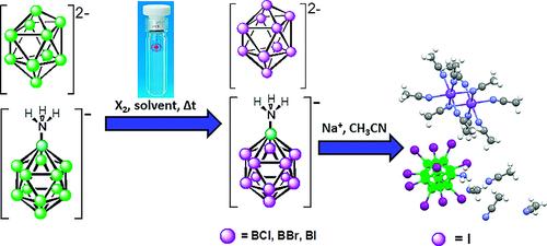 Polyhalogenated Decaborate and 1-Ammoniododecaborate Ions: An Improved ...
