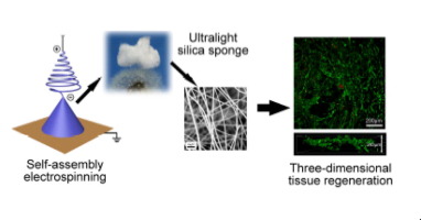 Fabrication of fibrous silica sponges by self-assembly electrospinning ...