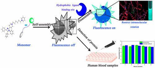 Smart Self-Assembled Organic Nanoprobe for Protein-Specific Detection ...