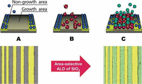 Area-Selective Atomic Layer Deposition of SiO2 Using Acetylacetone as a Chemoselective Inhibitor ...