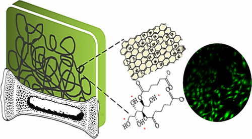 Development of Graphene Oxide-/Galactitol Polyester-Based Biodegradable ...
