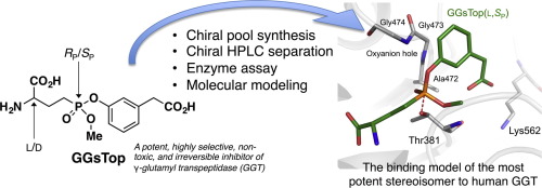 Synthesis and evaluation of the inhibitory activity of the four ...