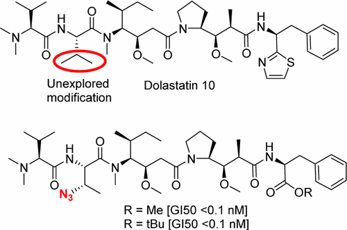 Synthesis and Evaluation of Dolastatin 10 Analogues Containing ...