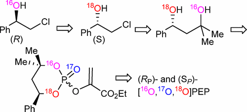 Chemical Synthesis of (RP)- and (SP)-[16O,17O,18O]Phosphoenol Pyruvate ...