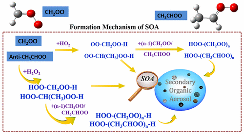 Competition between HO2 and H2O2 Reactions with CH2OO/anti-CH3CHOO in ...