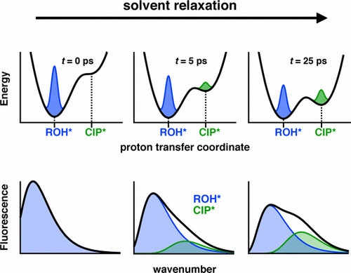 Influence of Solvent Relaxation on Ultrafast Excited-State Proton ...
