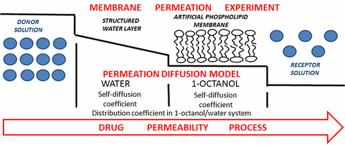 Understanding of Relationship between Phospholipid Membrane Permeability and Self-Diffusion ...