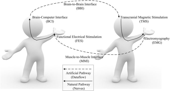 Human-to-human closed-loop control based on brain-to-brain interface ...