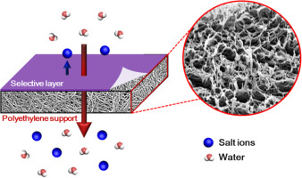 Highly Permeable and Mechanically Durable Forward Osmosis Membranes ...