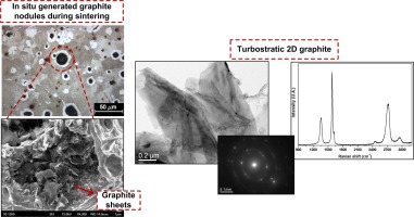 Structure and properties of in situ-generated two-dimensional ...