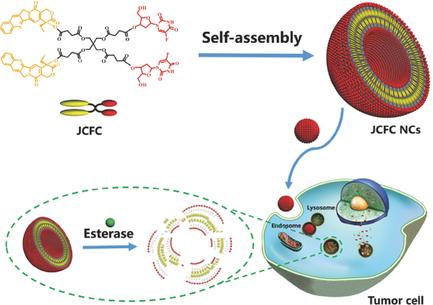 Self‐Assembly of an Amphiphilic Janus Camptothecin–Floxuridine ...