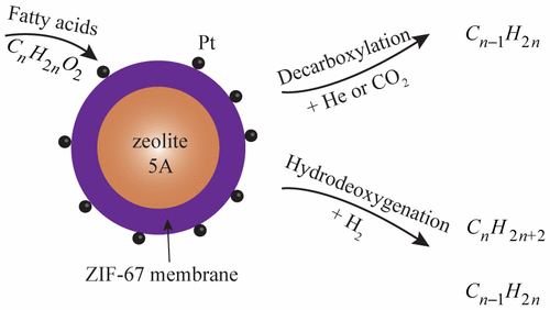 Deoxygenation of Palmitic and Lauric Acids over Pt/ZIF-67 Membrane ...