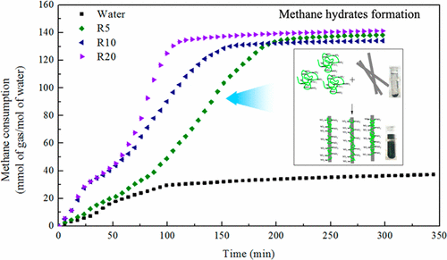 Amphiphilic-Polymer-Coated Carbon Nanotubes as Promoters for Methane ...