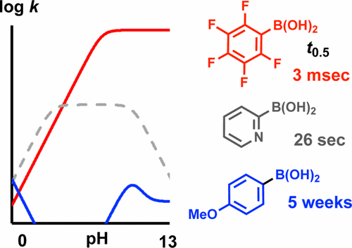 Base-Catalyzed Aryl-B(OH)2 Protodeboronation Revisited: From Concerted ...