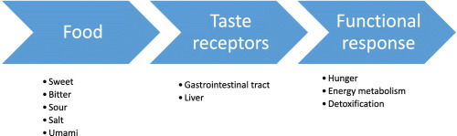 肠道中的味觉受体–饮食中促进健康的新目标 ,Food Research International - X-MOL